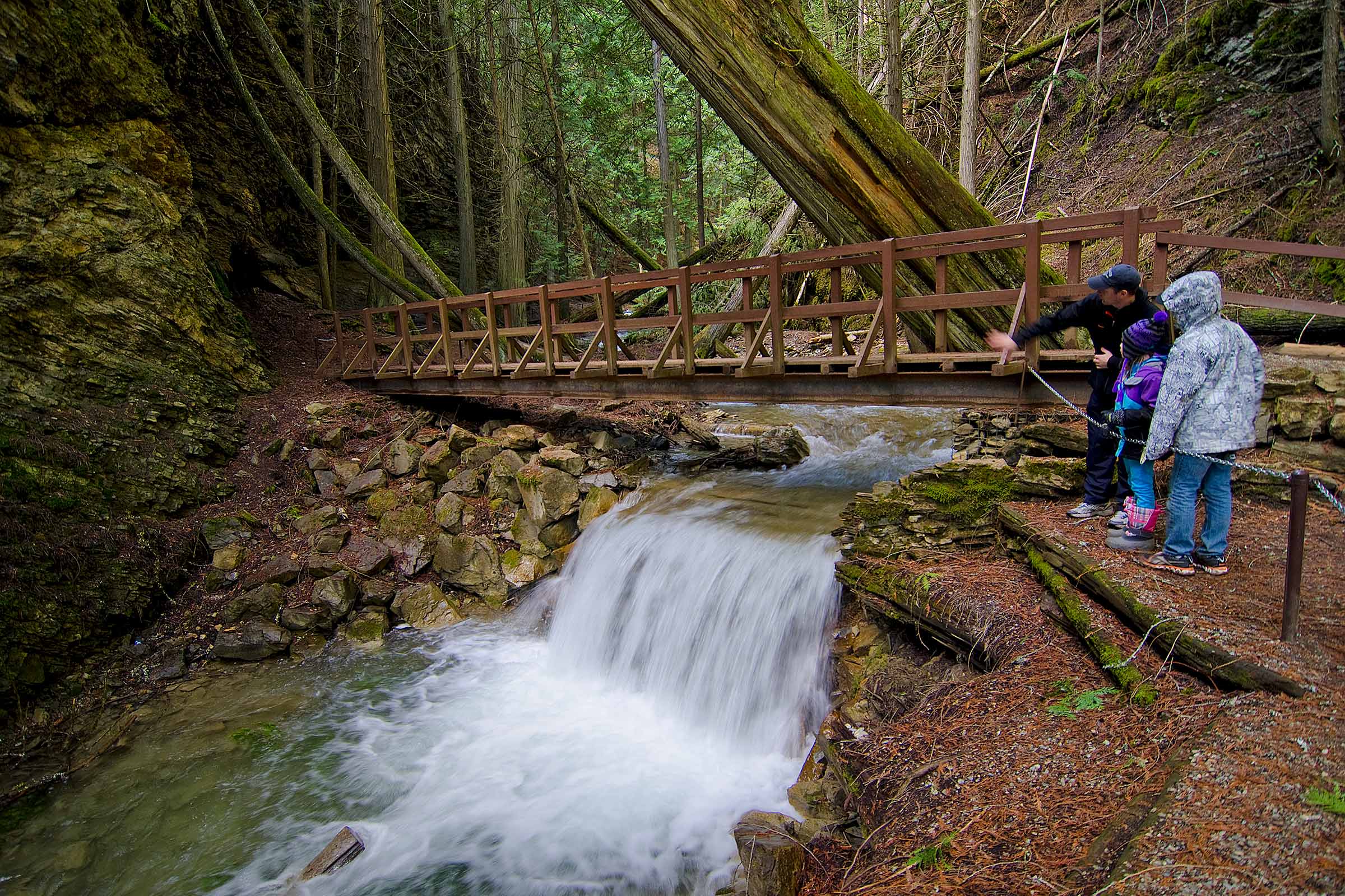 Home Page - Shuswap Community Foundation